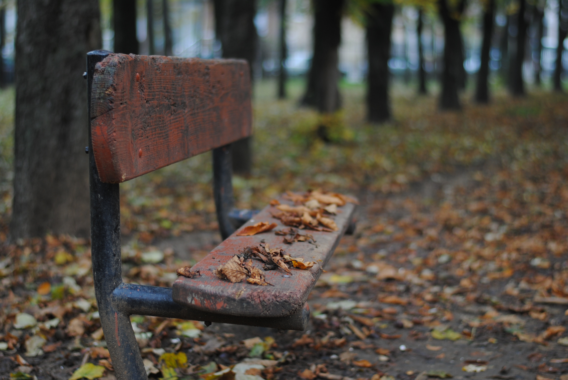 Publikohet parashikimi për vjeshtën 2020, stinët e vitit kanë “ndërruar ...