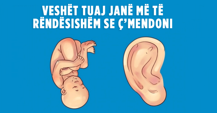 Veshët janë harta e fshehtë e trupit! Ja çfarë zbulojnë për ju ...