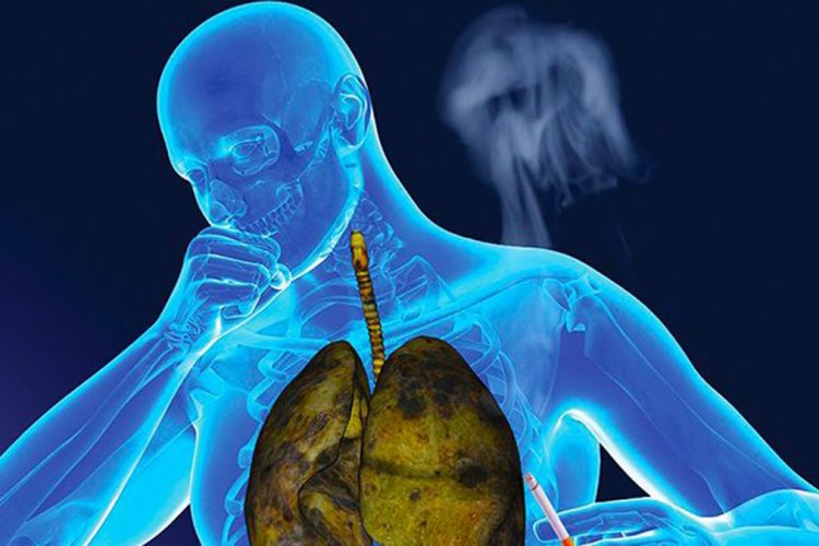 Kolla nga cigarja, kur përbën rrezik për jetën - Gazeta Express