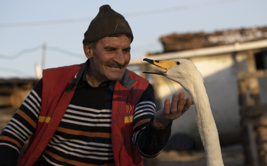 E ndihmoi para 37 vjetëve, mjellma nuk i ndahet më burrit që ia kishte ...