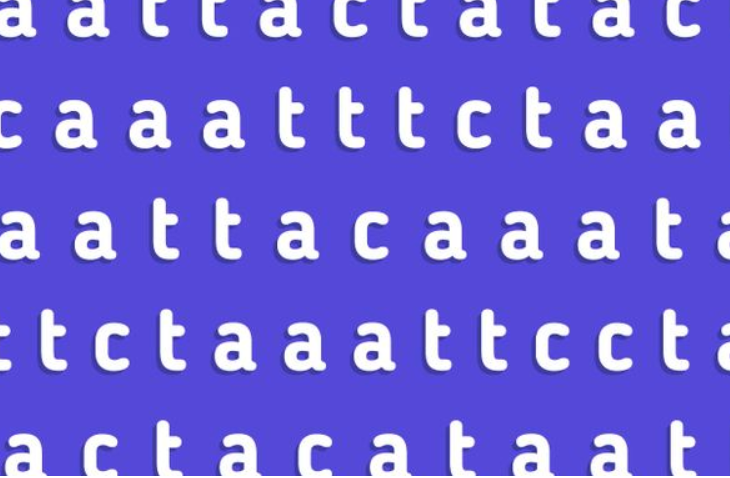 A mund ta gjeni në foto fjalën “mace” në gjuhën angleze për 10 sekonda ...