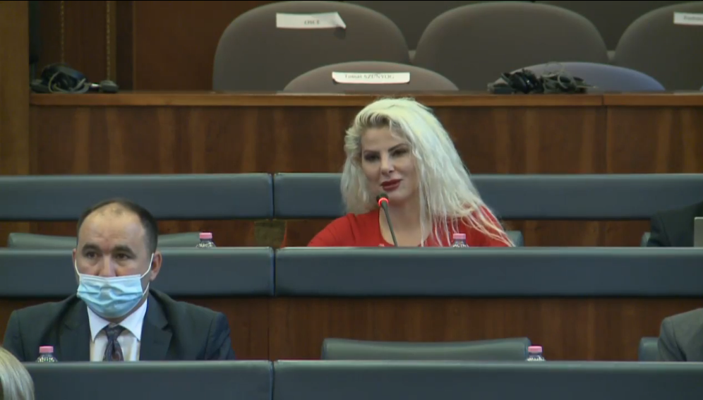 Duda Balje: Festova pas dënimit që iu dha Ratko Mlladiqit - Gazeta Express