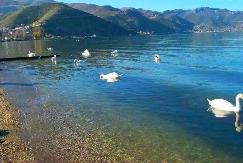 Liqeni i Ohrit rrezikon statusin e mbrojtjes nga UNESCO, thirrje ...