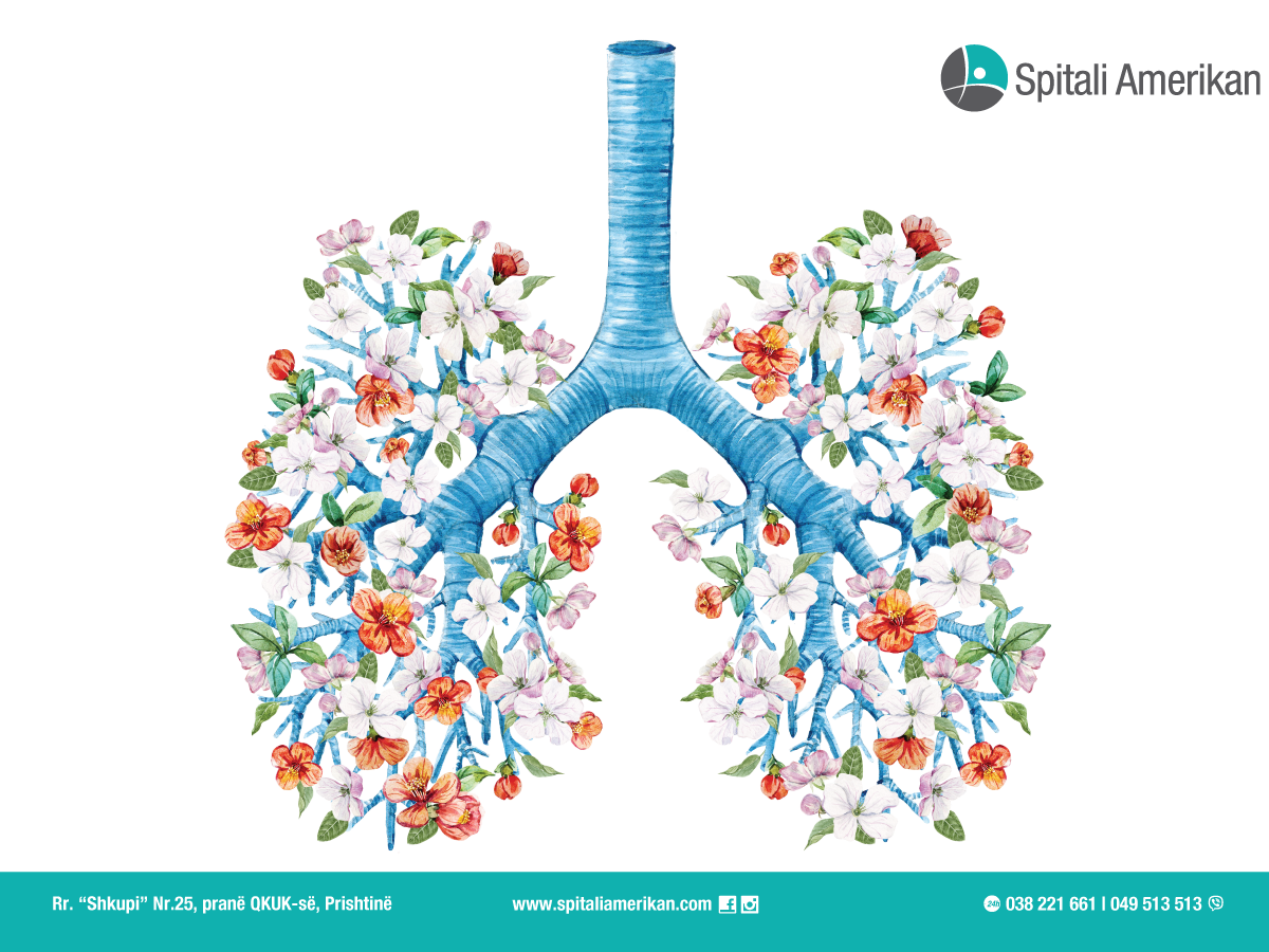 Ushqime të mira dhe të dëmshme për mushkëritë - Gazeta Express