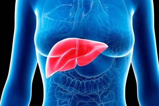 Cili është organi më detoksifikues në trupin e njeriut? - Gazeta Express