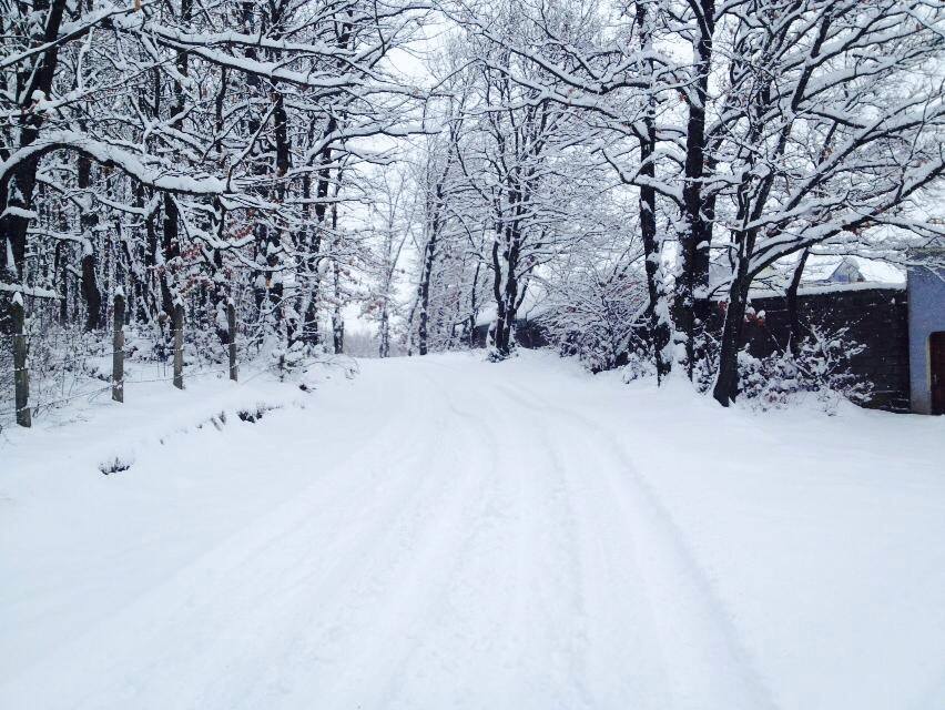 Të gjitha përfitimet shëndetësore nga dimri - Gazeta Express