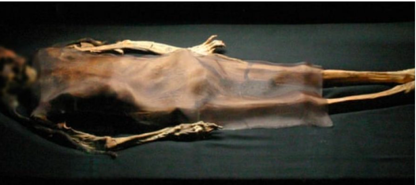 Arkeologët zbulojnë një mumje 800 vjeçare në Peru - Gazeta Express