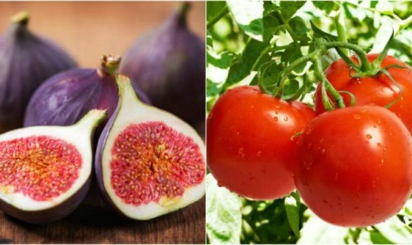 Fiku dhe domatja, lidhja e tyre e çuditshme që bën mrekulli - Gazeta ...