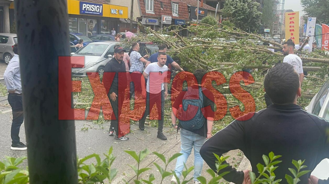 Dalin pamje të rënda, plepat e rrëzuar kanë zënë dy persona në Pejton ...