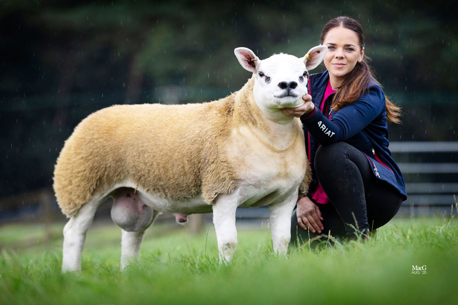 Delja më e shtrenjtë në botë - Gazeta Express