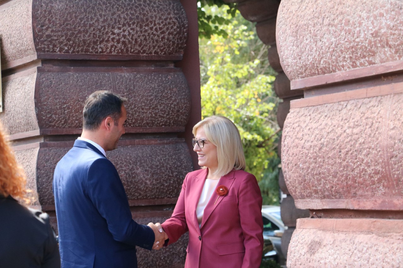 Dita e Flamurit, Kuvendet e Kosovës dhe Shqipërisë mbledhje të ...
