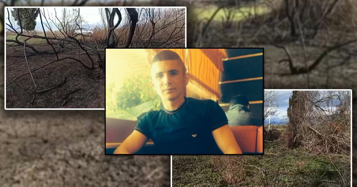 Mariglen Gjonaj u vra për një Rolex dhe varëse, zbardhet ekspertiza: U ...