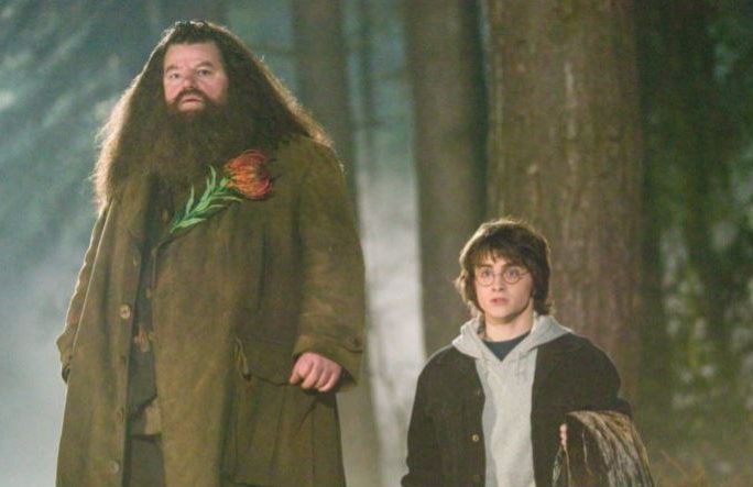 Vdes aktori që luajti në Harry Potter - Gazeta Express