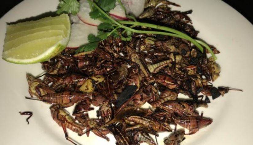 Krimba e vezë shekullore, njihuni me ushqimet më të pazakonta të botës ...