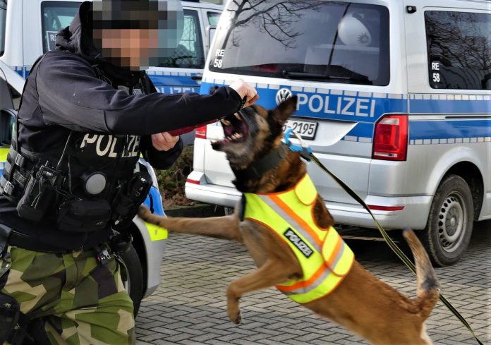 Tentuan të grabisnin ambientet e kompanisë, qeni roje kap dy "skifterët ...