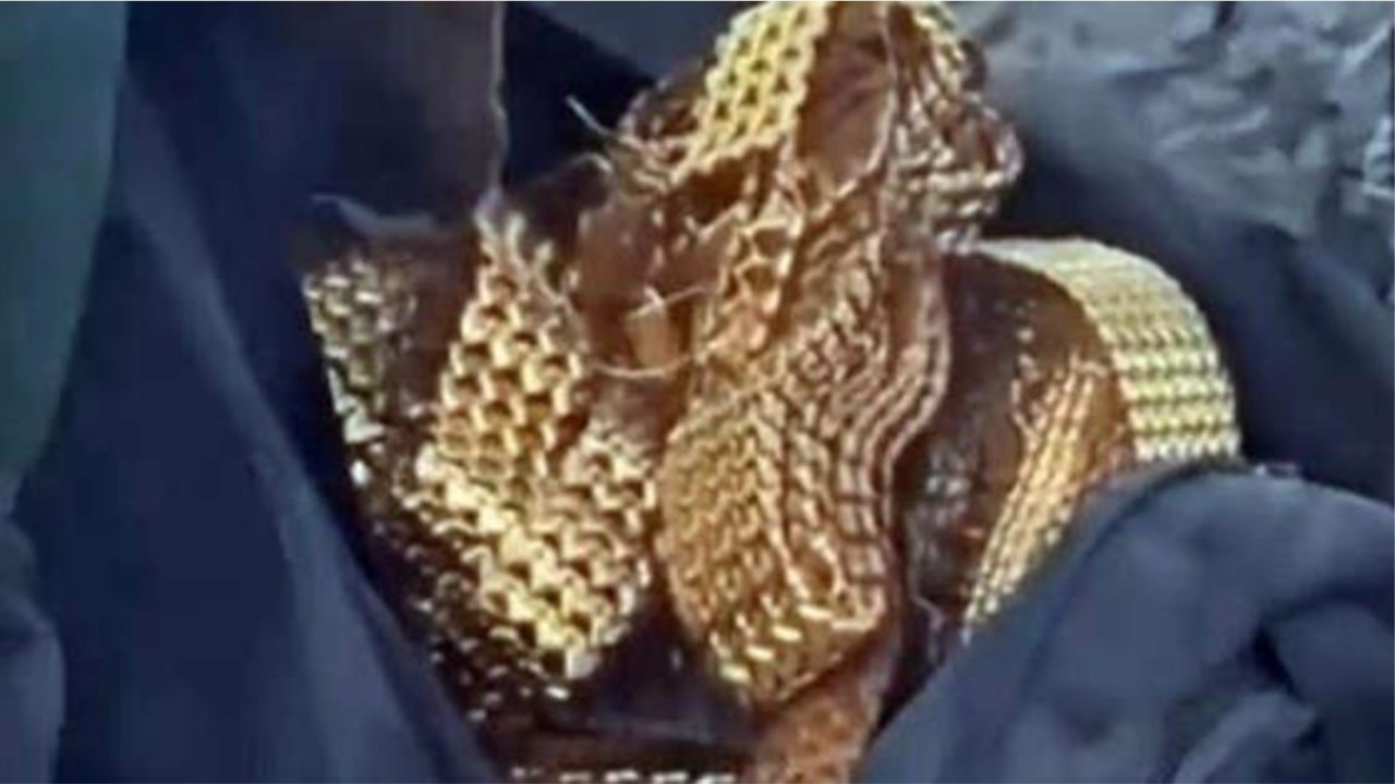 “Një rrip ka vlerë 10 mijë dollarë”, nxirret nga rrënojat në Turqi ...