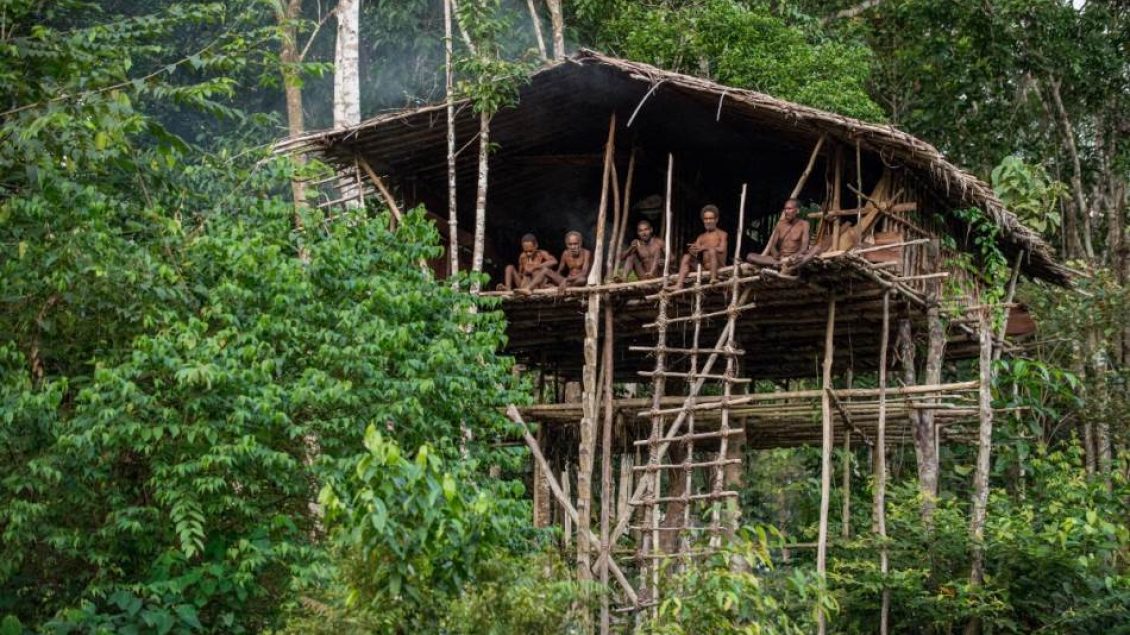 Ky fis i izoluar që jeton në pyjet e Papua Guinesë së Re, thuhet se ...