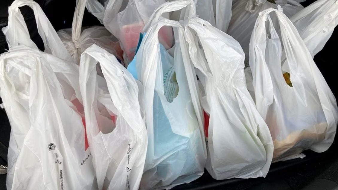 Qeset e plastikës me pagesë: A dështoi Ministria e Mjedisit në mbajtjen ...