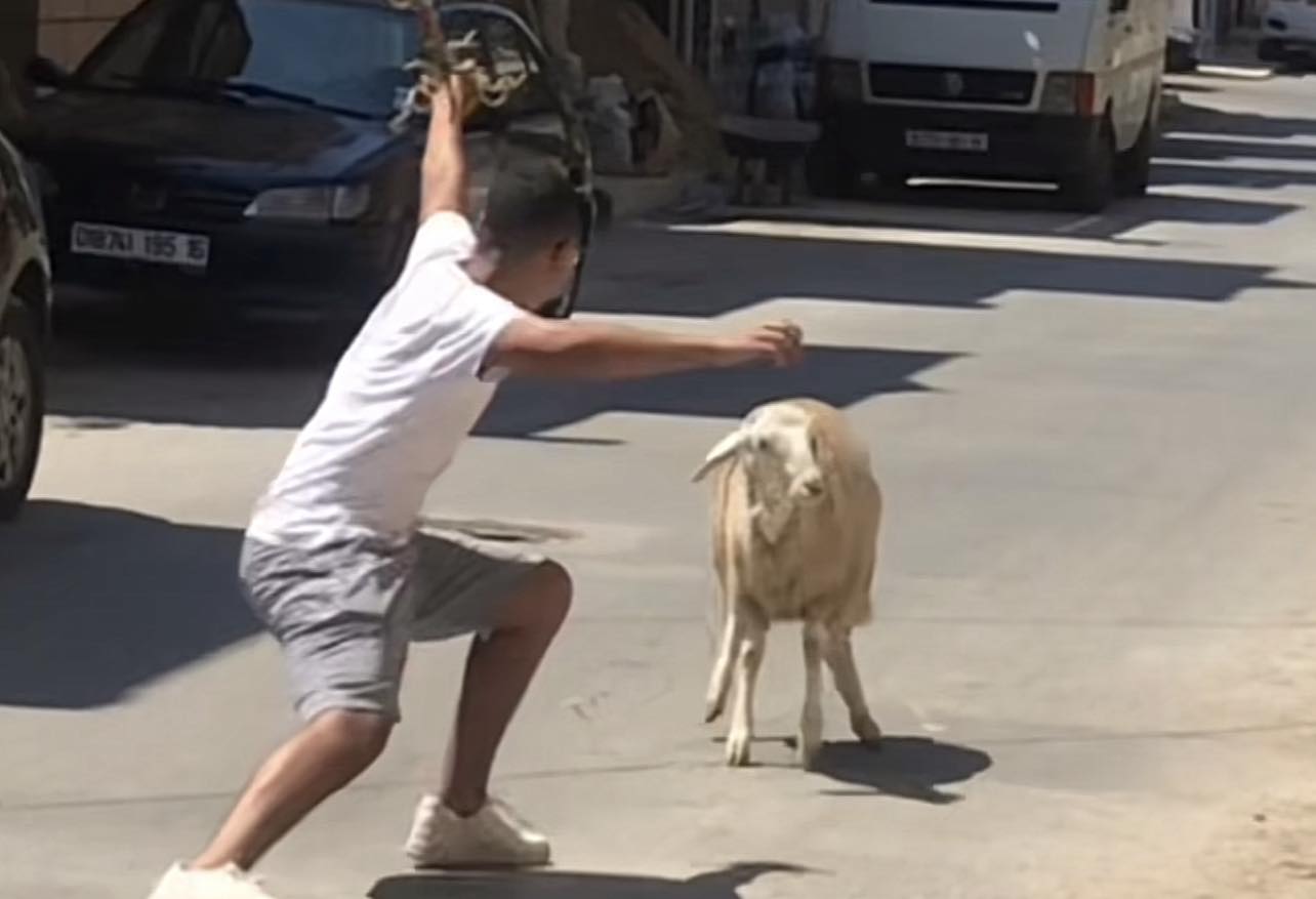 Besimtarit i ikën nga duart kurbani, momenti qesharak kur detyrohet ta ...