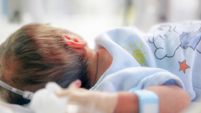 Shifrat e 2022, gati gjysma e bonusit të bebeve shkoi për fëmijët e ...