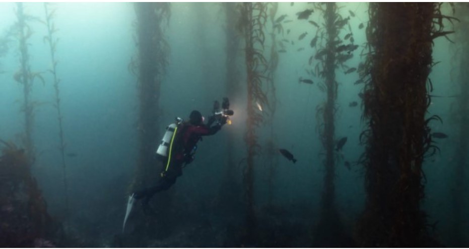 Pyjet më misterioze në planet ndodhen nën ujë - Gazeta Express