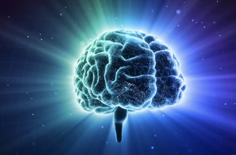 Sa për qind të trurit përdorim çdo ditë? - Gazeta Express