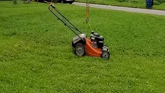 Studimi: Kositja e barit për vetëm 11 minuta në ditë ulë shanset për ...