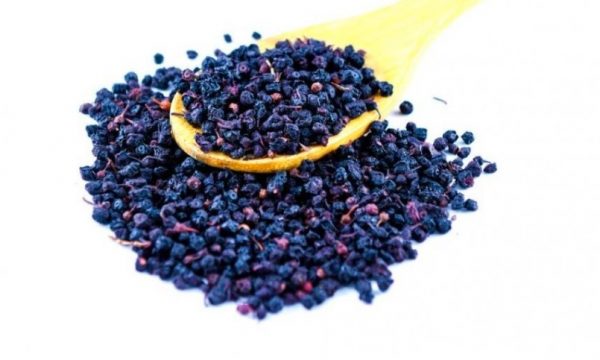 Çaji i boronicës së thatë, si ta përgatisni - Gazeta Express