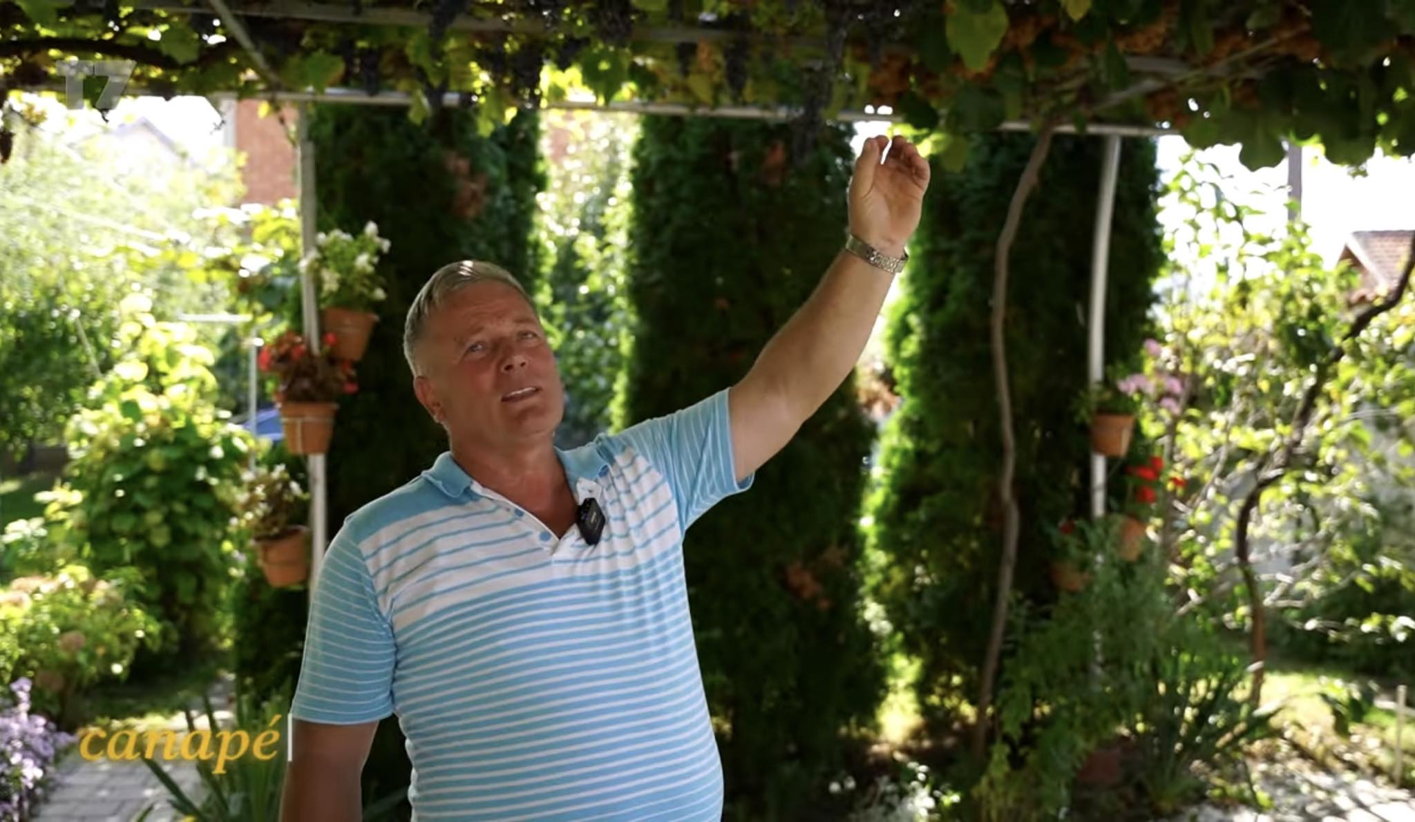 “I këqyri mirë e ia baj hyzmetin”, kjo është puna e palodhshme e burrit ...