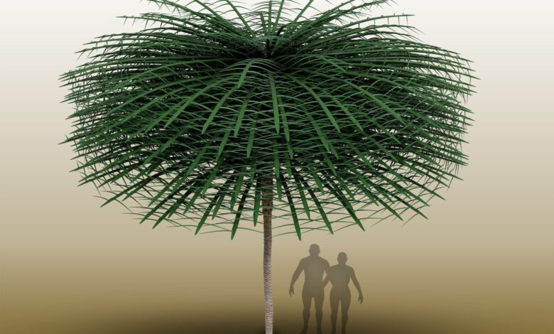 Gjendet një pemë e çuditshme 350 milionë vjeçare që duket sikur të jetë ...