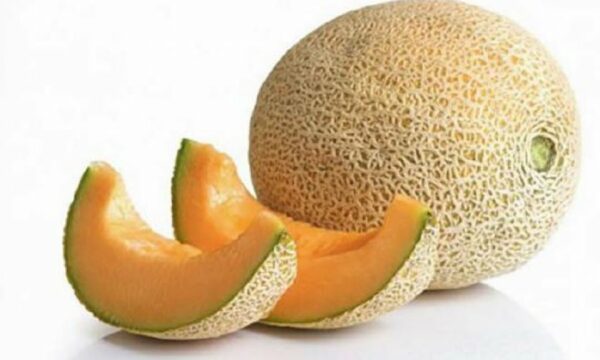 Pjepri – një frut i pasur me vitamina, minerale dhe antioksidantë ...