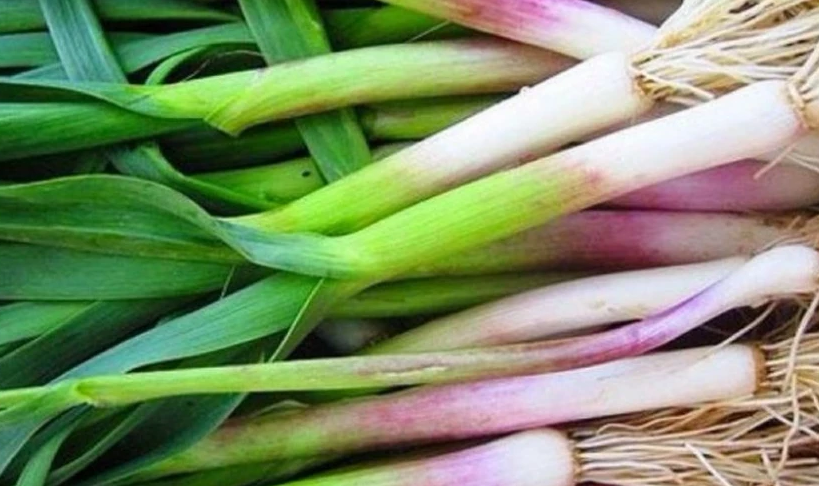 Përfitimet shëndetësore nga hudhrat e njoma - Gazeta Express