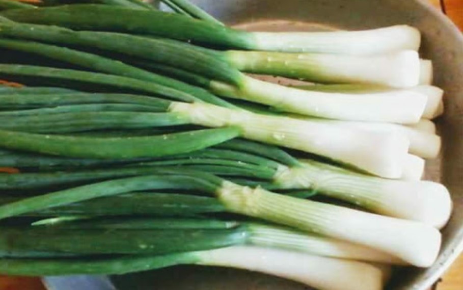 Qepët e pranverës mund të ndihmojnë edhe personat që kanë probleme me ...