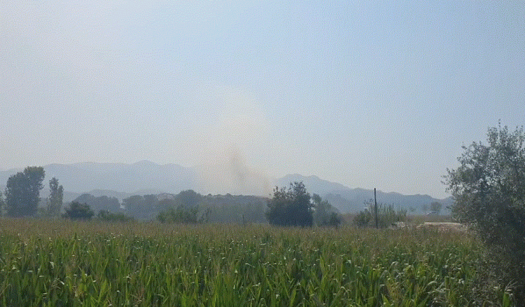 Merr flakë landfilli i mbetjeve pranë inceneratorit të Elbasanit ...