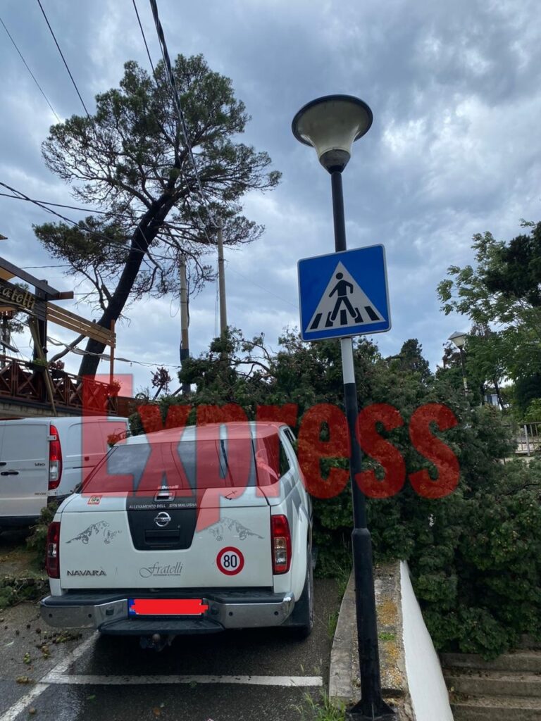 Moti i ligë kaplon Ulqinin, era e madhe këput pemët - Gazeta Express