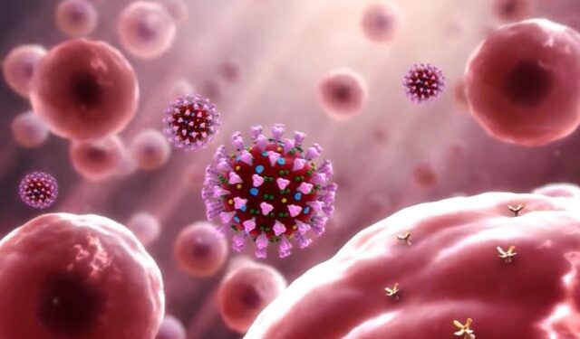 Pesë vjet nga përhapja e pandemisë së COVID-19 - Gazeta Express