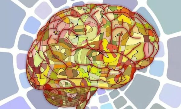 Pesë mënyrat se si plaket truri ynë - Gazeta Express