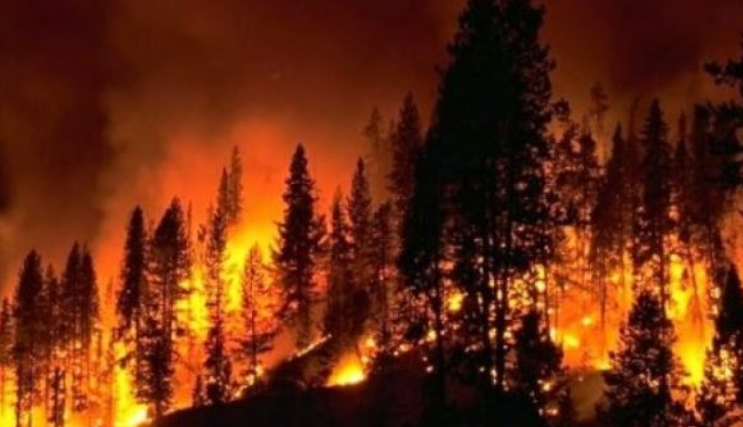 Zjarr në kodrën e Cerrnushës, po bëhet përpjekje për lokalizim të tij ...