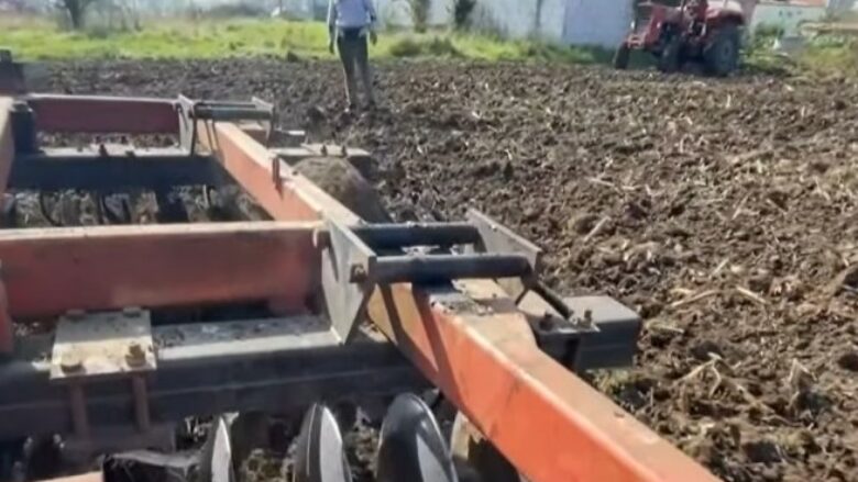 Mbjelljet vjeshtore kanë kaluar fazën optimale - Gazeta Express