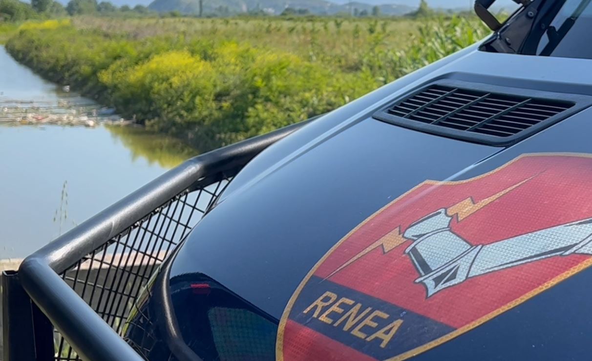 Forcat RENEA aksion në Shkodër, sekuestrohen armë zjarri - Gazeta Express