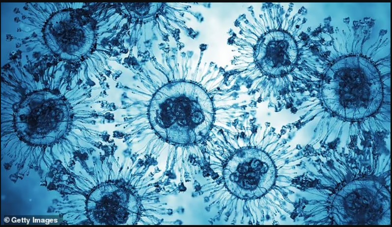 Tronditëse – mjekët zbulojnë një lloj kanceri që mund t’i lërë ...