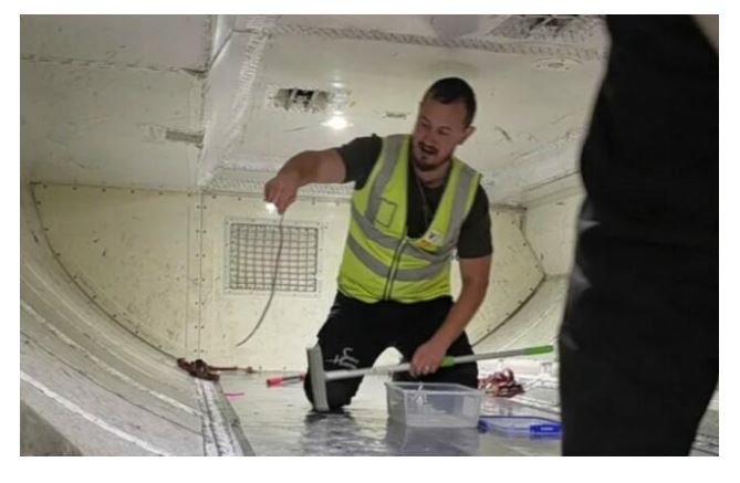 Gjarpri i fshehur në pjesën e ngarkesës së aeroplanit, fluturimi ...