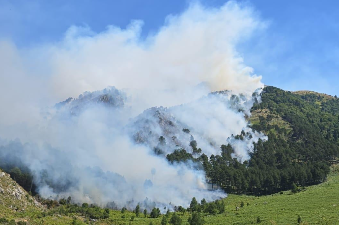 Zjarri rrezikon Parkun Kombëtar të Llogarasë - Gazeta Express