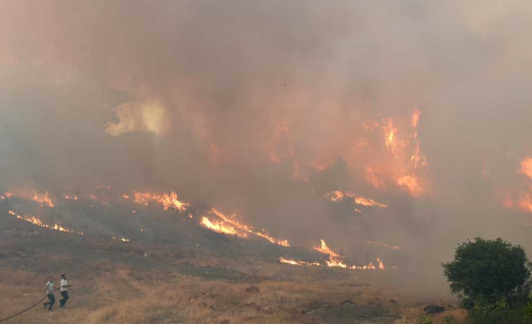 Sa llogaritet dëmi i shkaktuar nga zjarret në Shqipëri - Gazeta Express